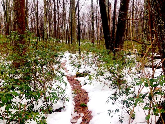ANF proposes new trail segments at Morrison, Powerhouse site | News ...